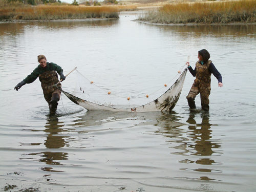 NY Sea Grant | NYSG: LISS - New Stewardship Plan for Nissequogue River ...