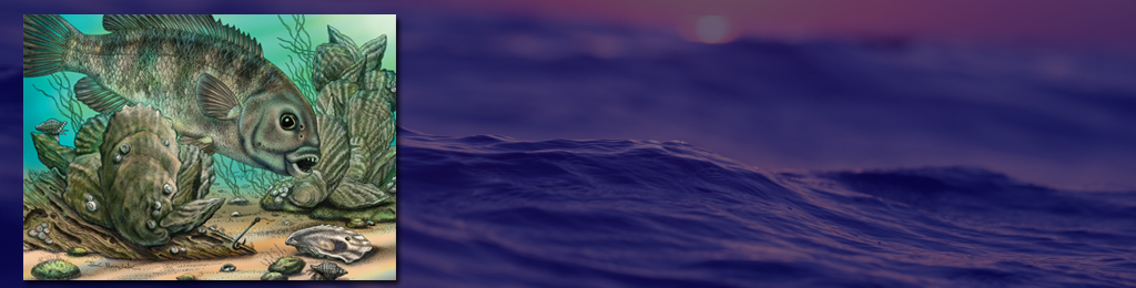 NY Sea Grant | Welcome