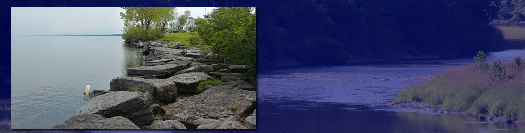 NY Sea Grant | Welcome