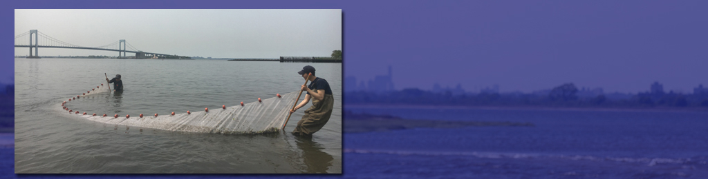 NY Sea Grant | Welcome