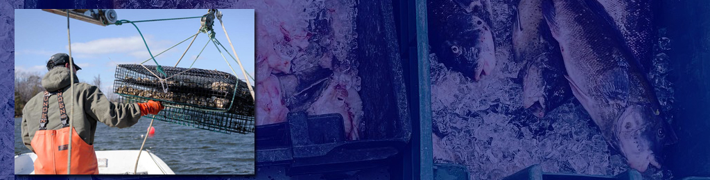 NY Sea Grant | Welcome