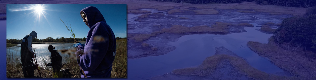 NY Sea Grant | Welcome